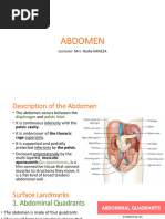 Umbilicus Anatomy and Physiology | PDF | Abdomen | Vein