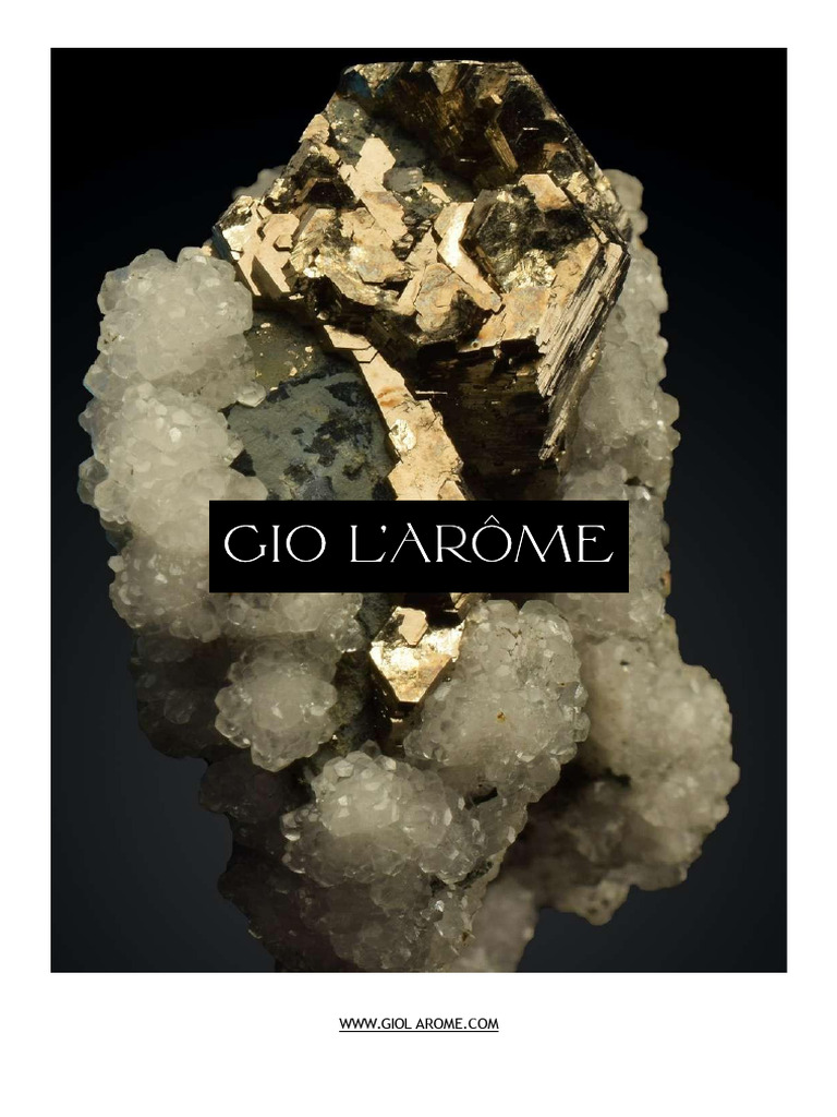 Gio L'arome | PDF