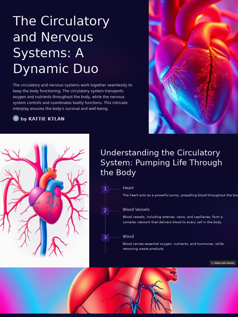 The-Circulatory-and-Nervous-Systems-A-Dynamic-Duo | PDF | Circulatory ...