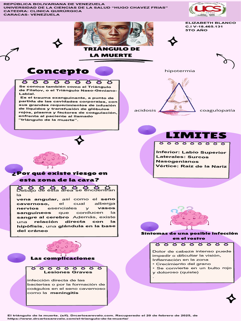 Infografía Triángulo de La Muerte | PDF | Especialidades Medicas | Medicina