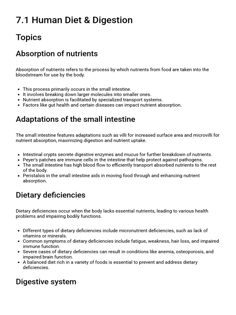 Human Diet Digestion - StudyGuide | PDF | Digestion | Vitamin
