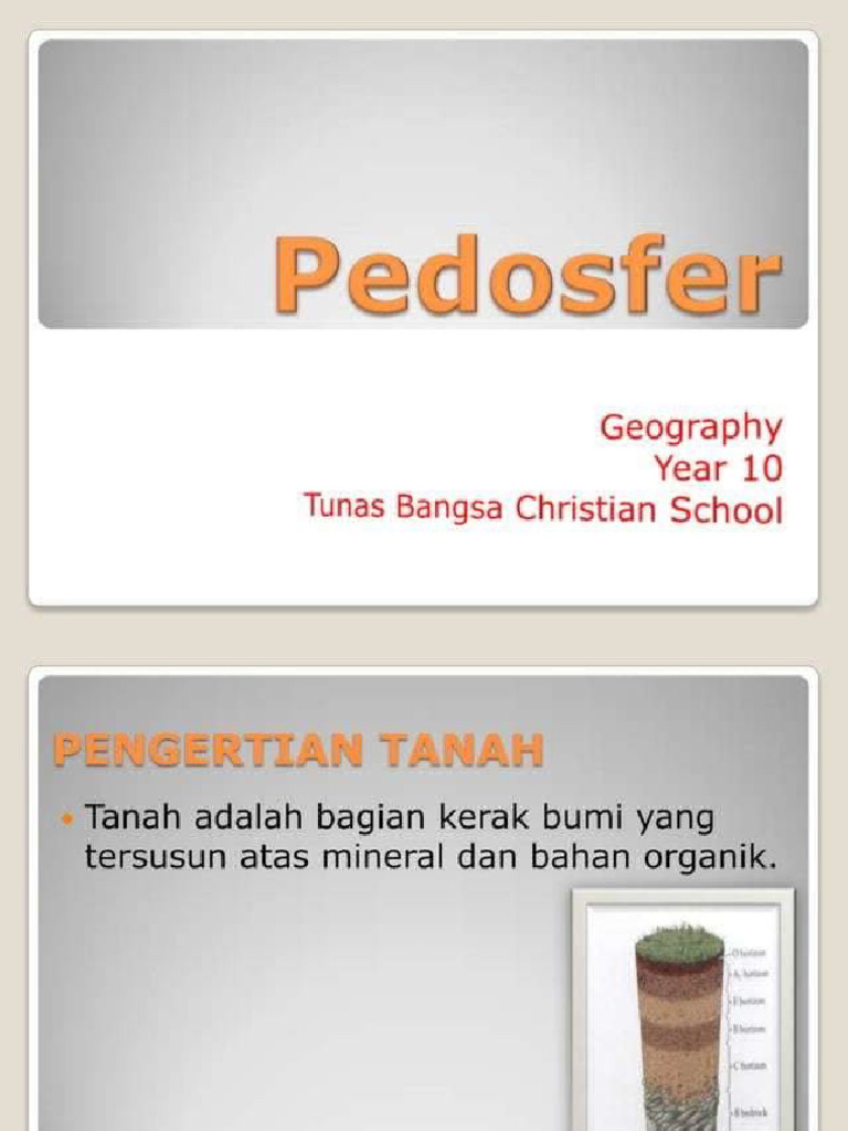 Pedosfer 3 | PDF