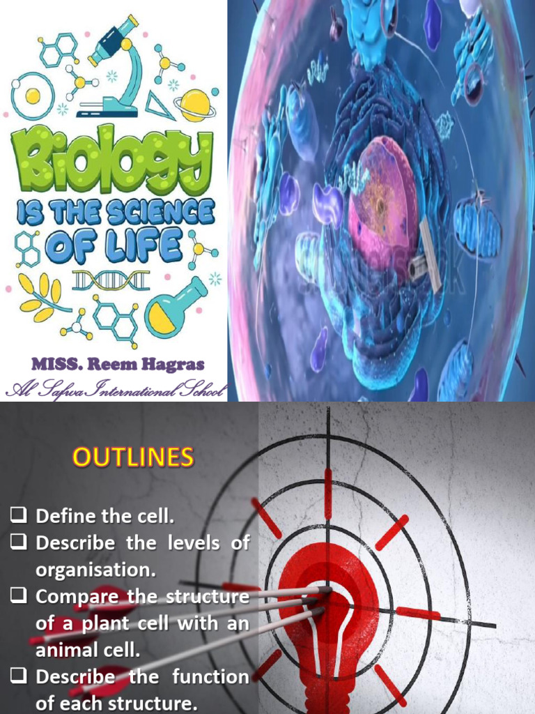 Cell Structure and Organization Overview | PDF | Cell (Biology ...