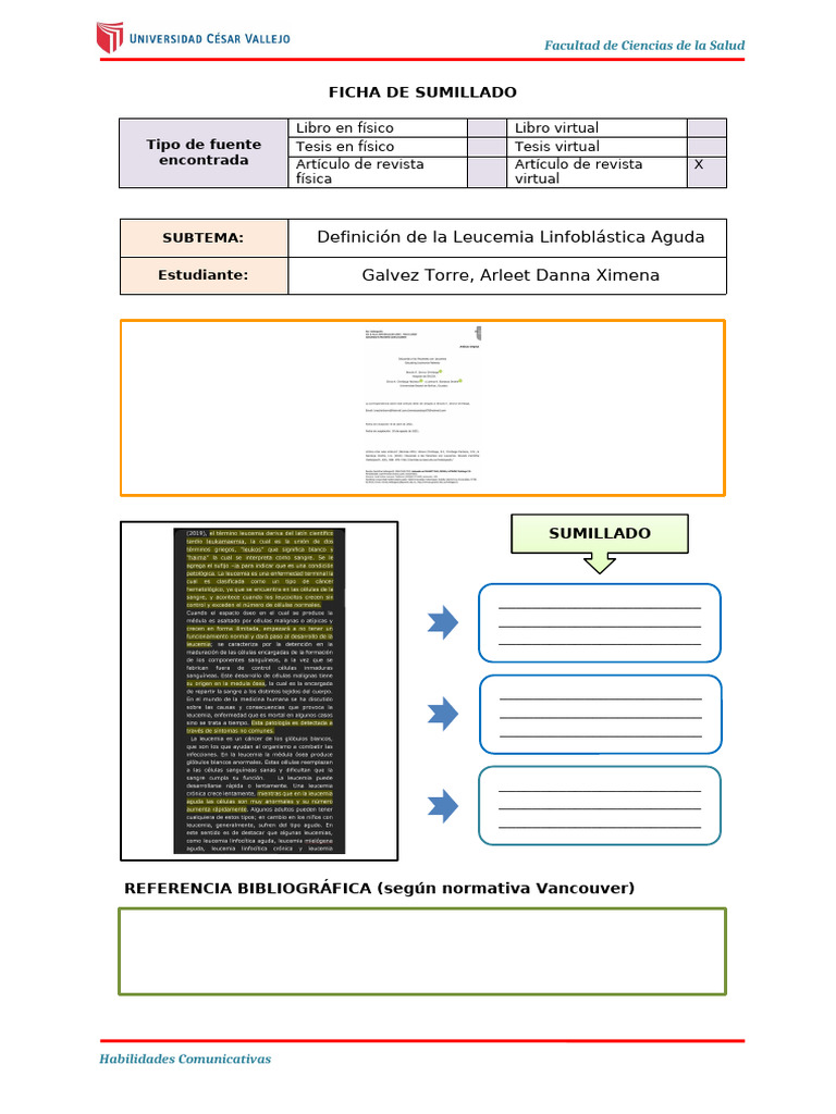 Formato de Fichas de Sumillado y de Resumen | PDF | Comunicación escrita | Publicación