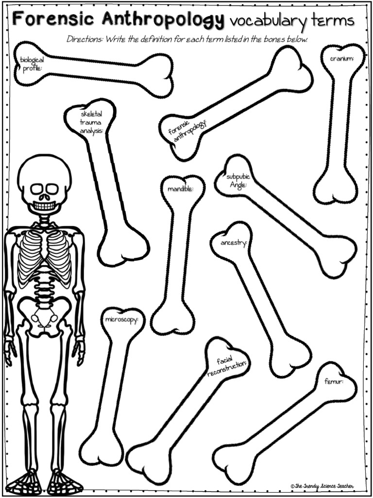 Kami Export - Nyla Scott - Forensic Anthropology Vocabulary Worksheet | PDF
