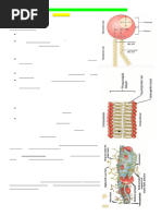 Biology Membranes A-Level OCR Notes | PDF | Cell Membrane | Biotechnology