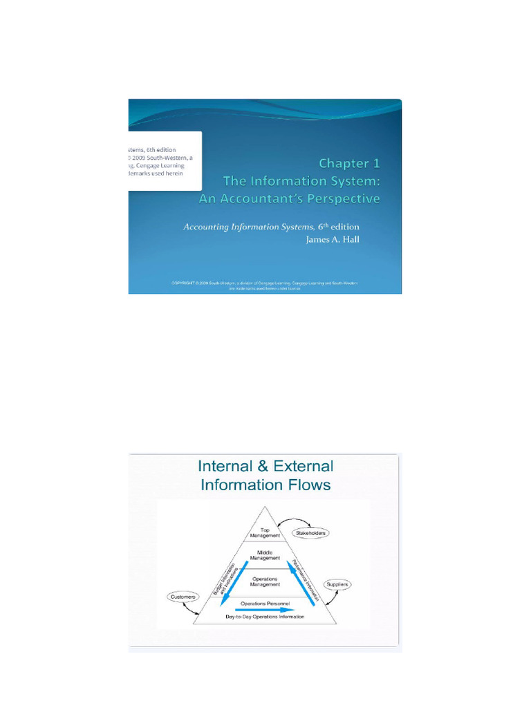 Chapter 1 Slides | PDF