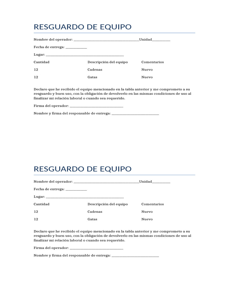 Formato Resguardo Equipo | PDF