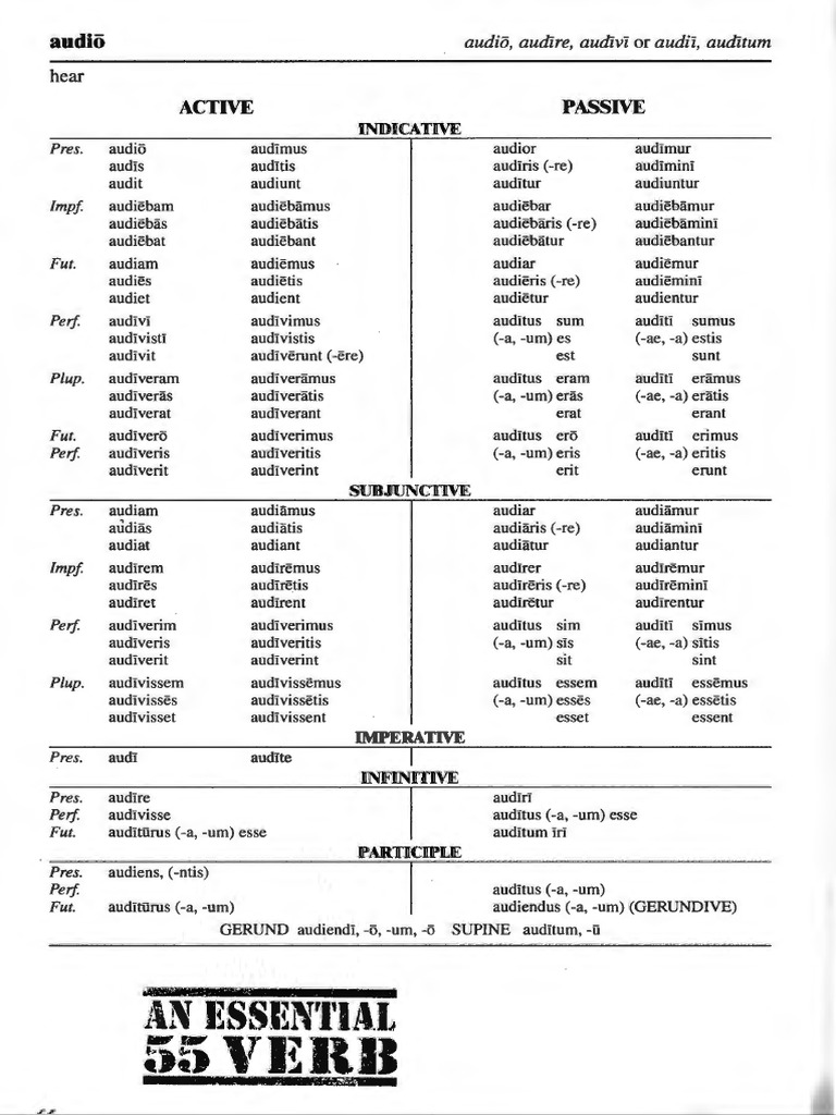 501 Latin Verbs Cs 72 | PDF