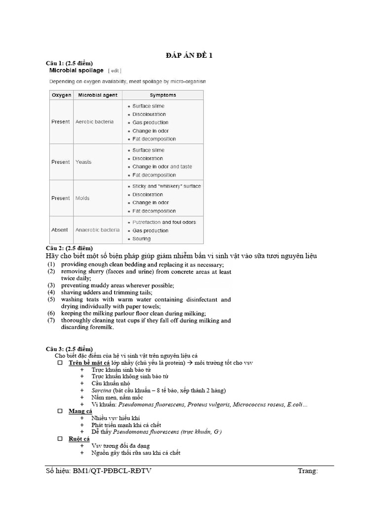Đáp Án VSTP-KTGD HK2 2016-2017 | PDF