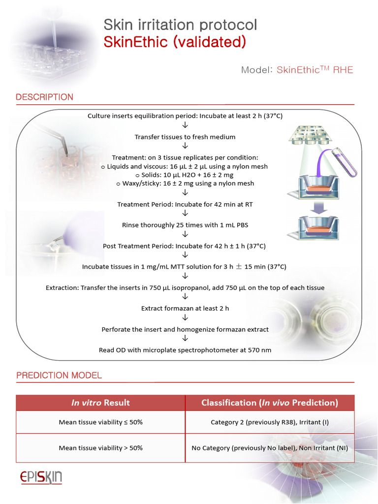 Skin Irritation Testing Protocol Guide | PDF