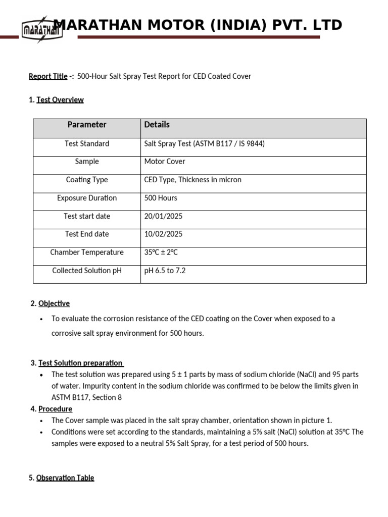 500-Hour Salt Spray Test Report | PDF | Sodium Chloride | Chemical ...