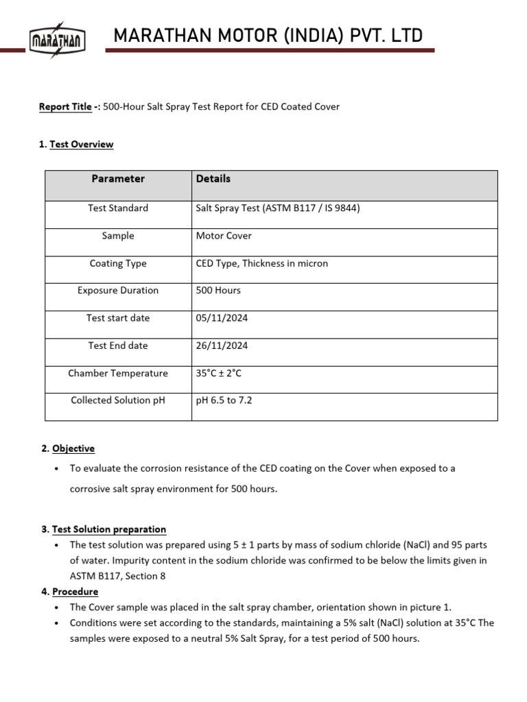 SST Report Cover | PDF | Sodium Chloride | Chemical Substances