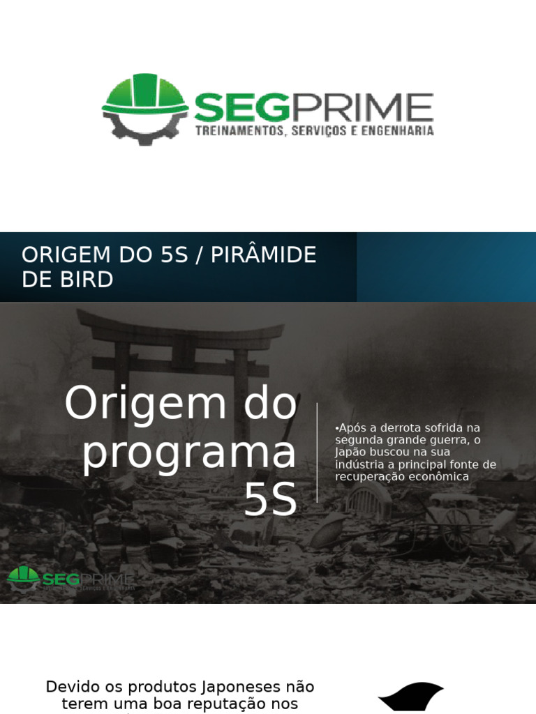 Origem do 5S e Pirâmide de Bird | PDF | Japão | Economia
