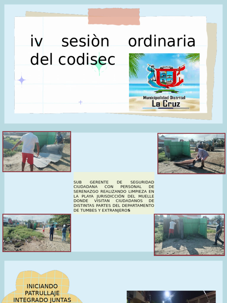 IV Sesión Del Codisec | PDF | Derecho penal | Nación