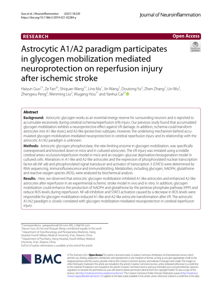 Astrocytic A1_A2 paradigm participates in glycogen mobilization ...