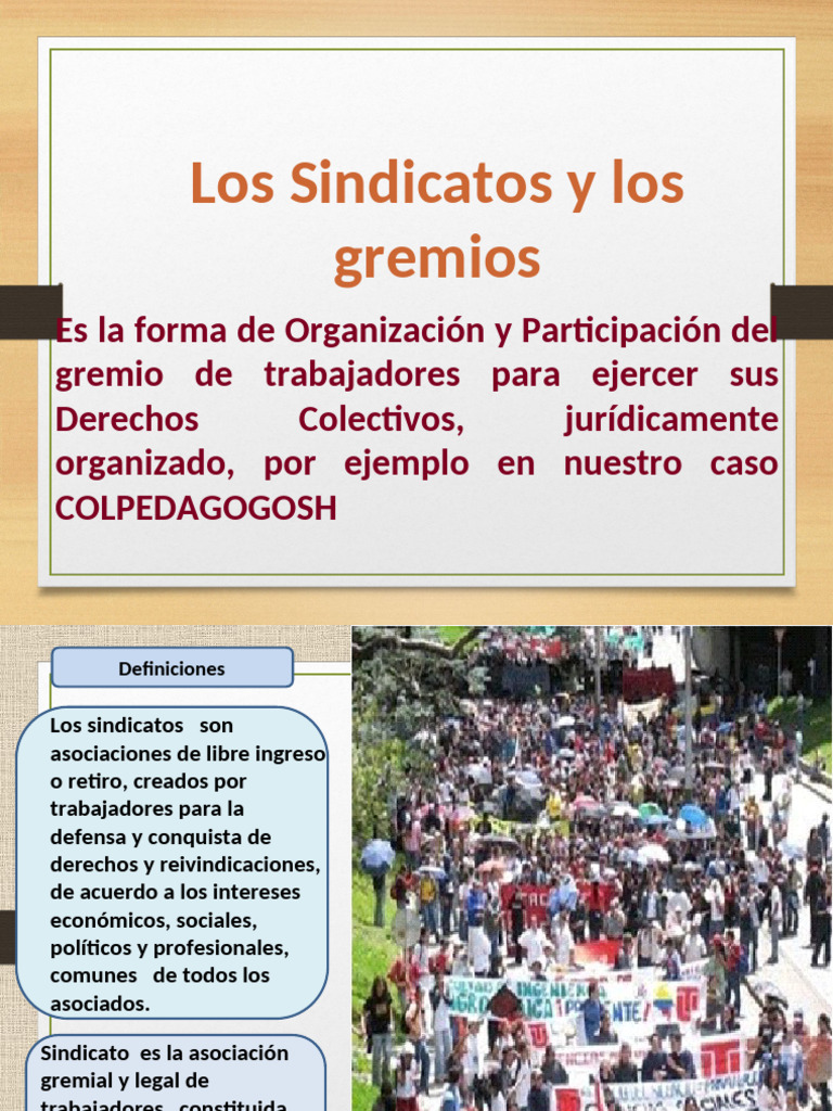 Organización y Funciones de Sindicatos | PDF | Organización ...