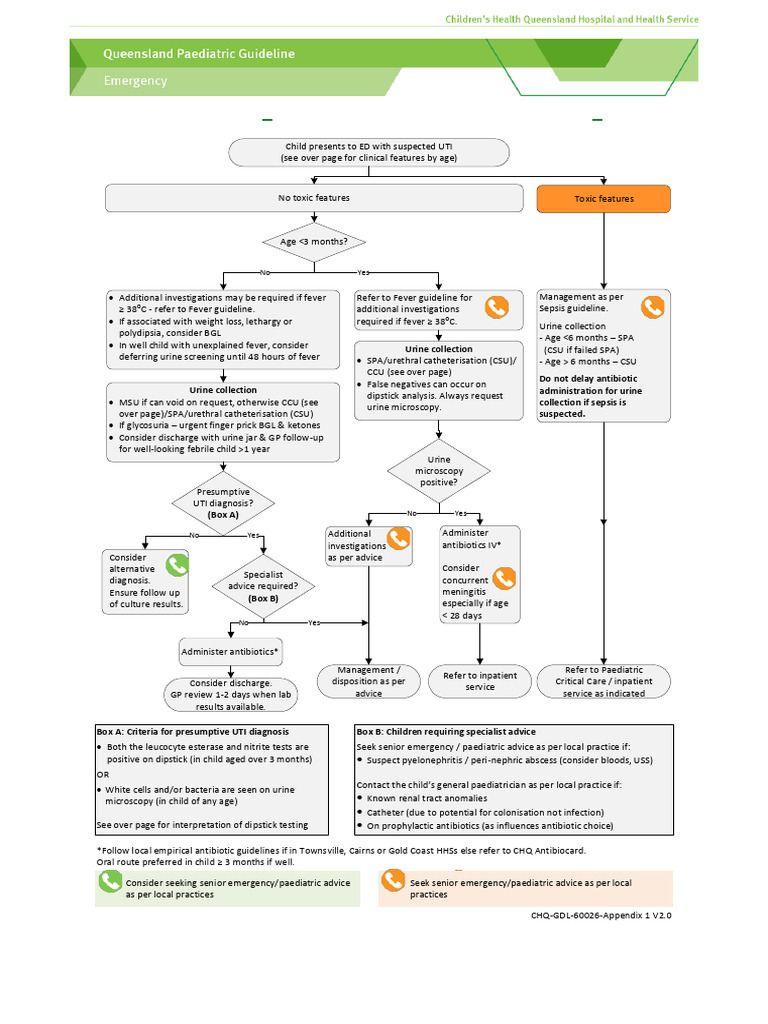 UTI Emergency Management Flowchart | PDF | Urinary Tract Infection ...