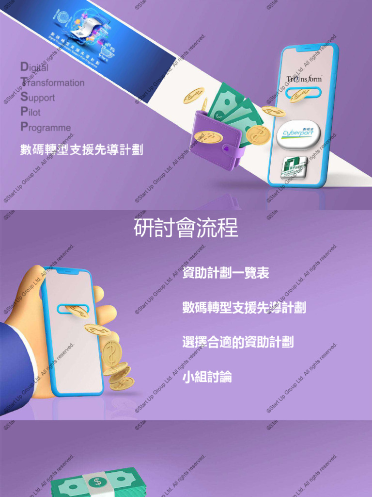 DTSPP數碼轉型支援先導計劃 | PDF