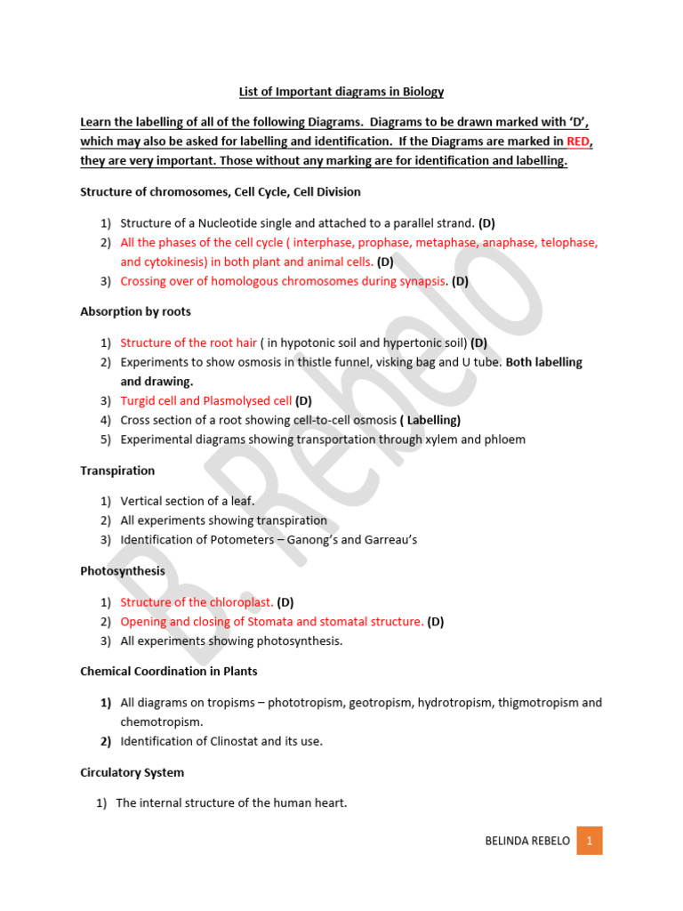List of Important Diagrams in Bio 2024-2 | PDF | Kidney | Endocrine System