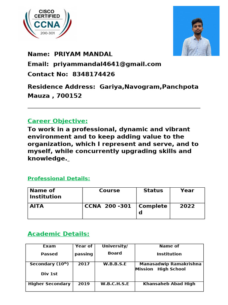 My CV | PDF