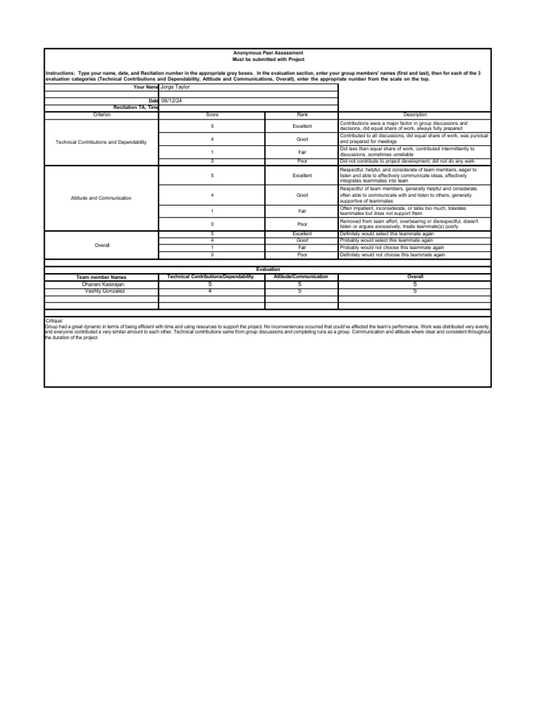 ChE 32000 Peer Evaluation Worksheet | PDF | Social Psychology | Human ...