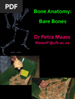 206 Human Bones Detailed Chart | PDF