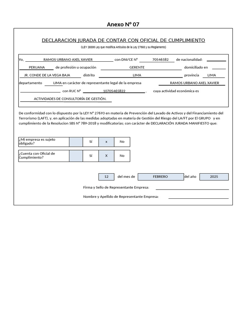 Anexo 07 Declaración Jurada de Contar Con Oc | PDF