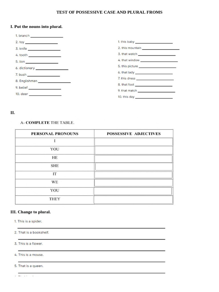 Possessive Case and Plural Forms Test | PDF