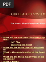 The 3 Types of Circulation | PDF