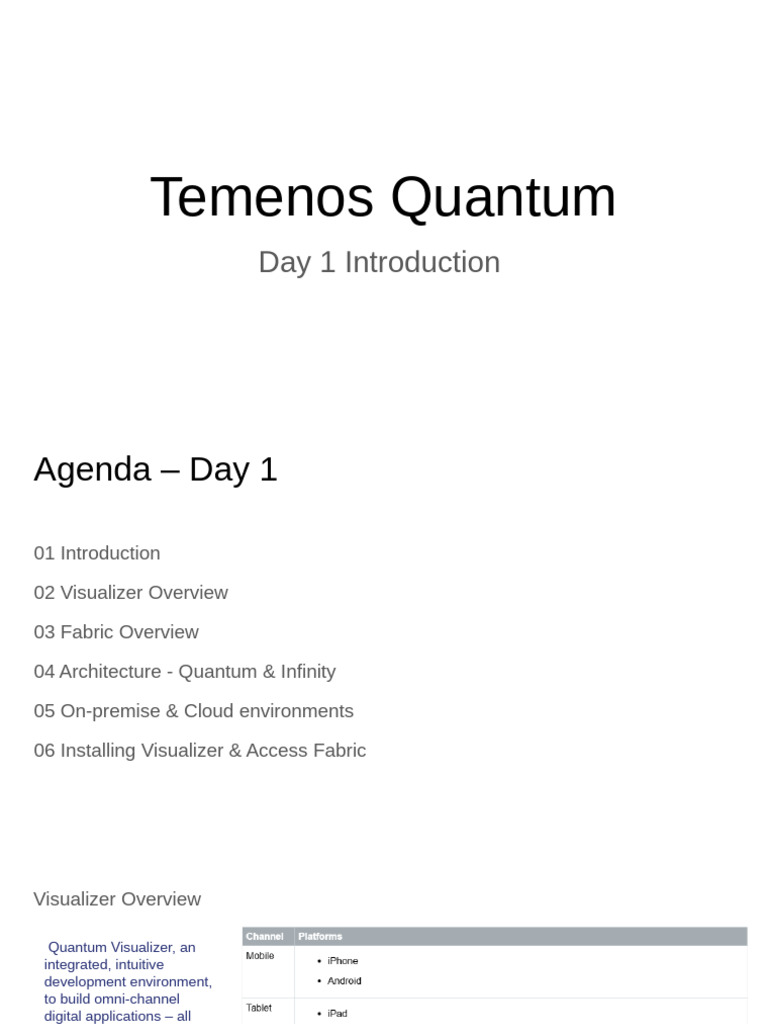Temenos Quantum Visualizer Overview | PDF