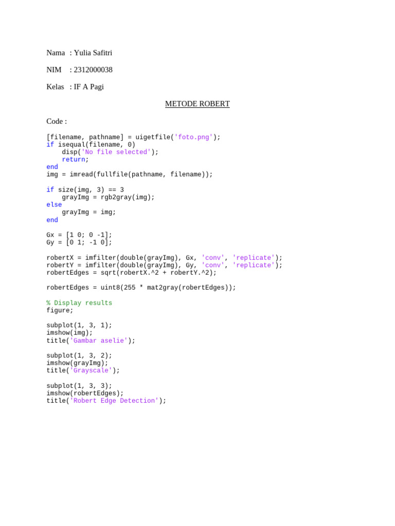 Komputasi Numerik Robert | PDF