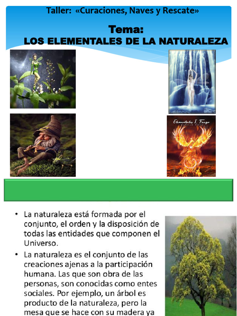 Elementales de la Naturaleza: Definición | PDF