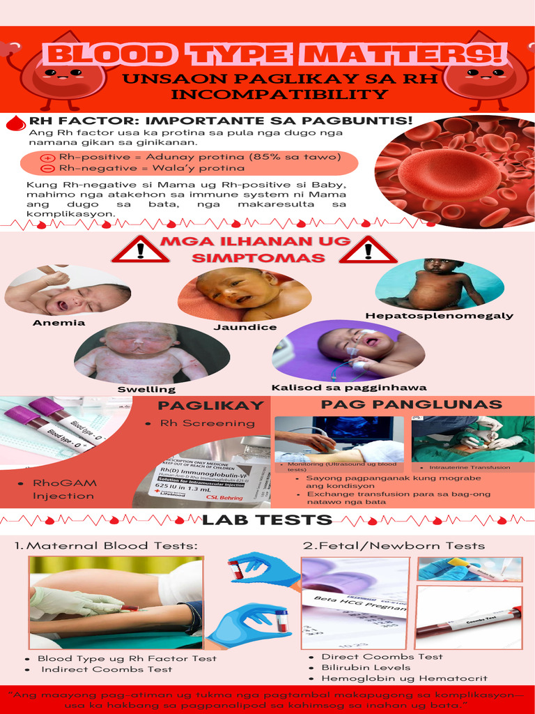 Blood Donation Infographic | PDF