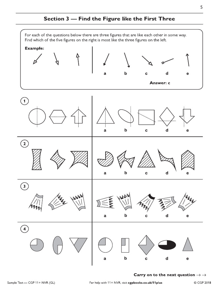 Assessment NVR 11 Plus Samples | PDF