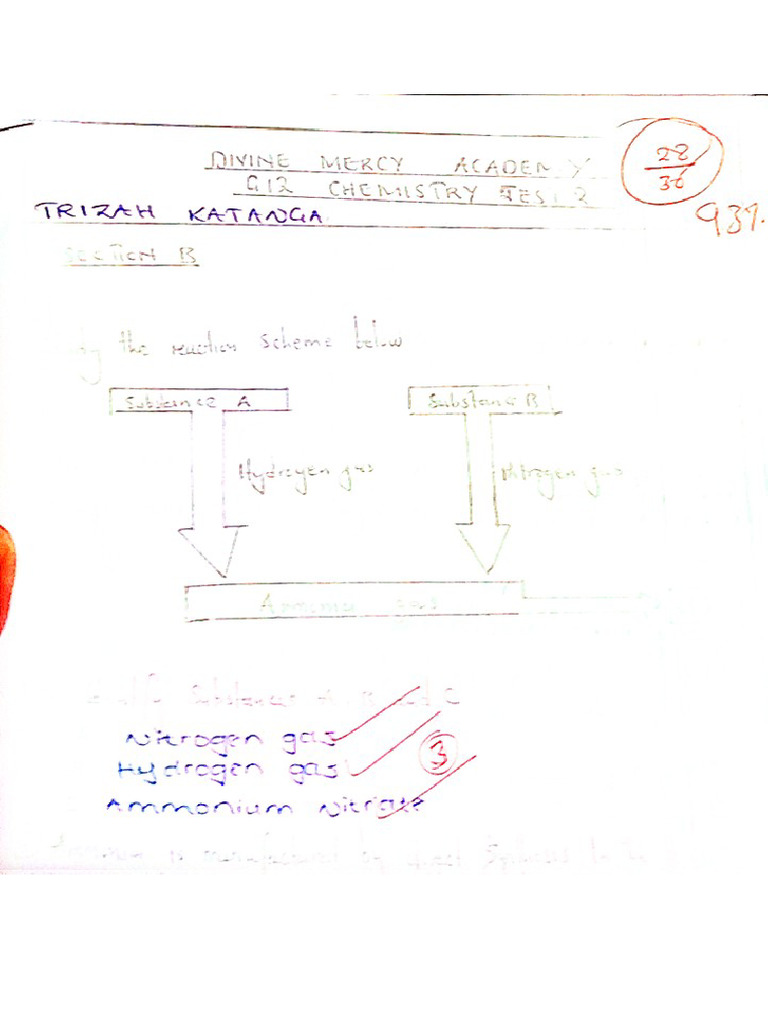 ACE Scanner - 2025 - 03 - 09 | PDF