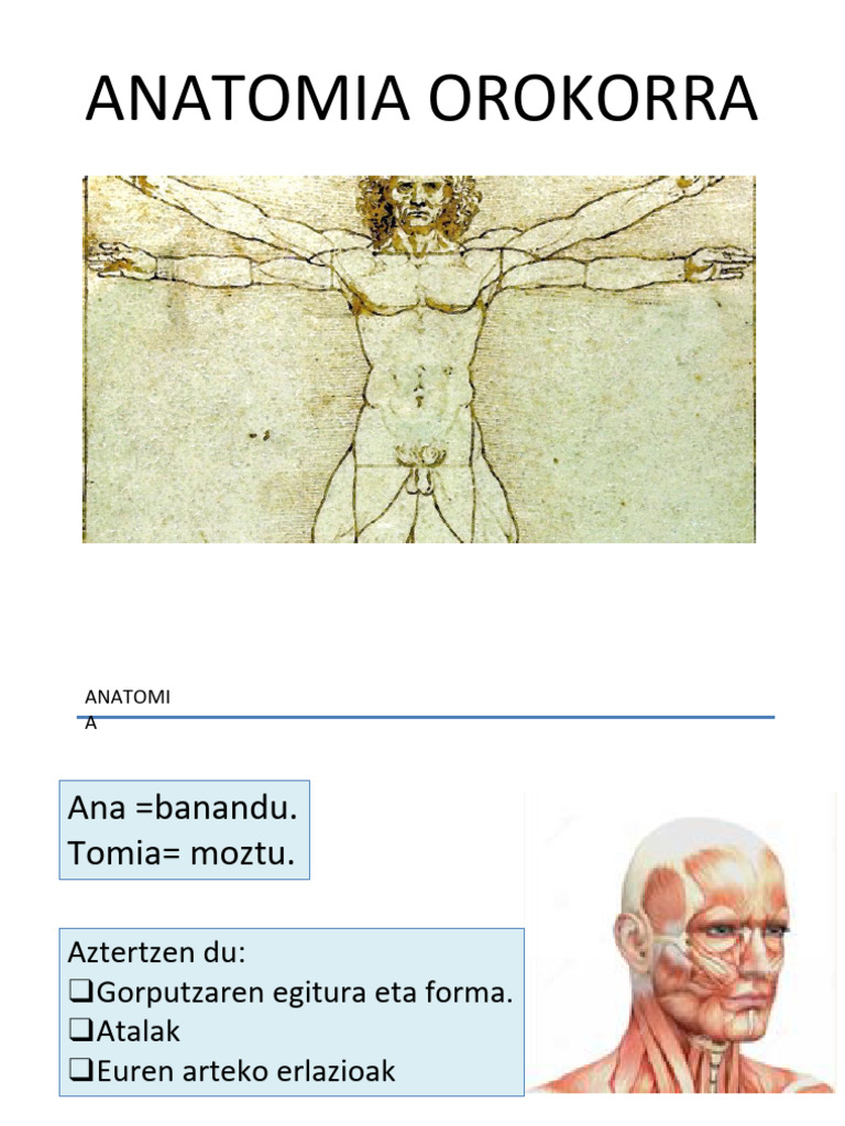Anatomia - Orokorra - Ona - PPTX Fitxategiaren Kopia | PDF