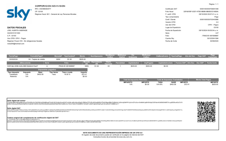 Corporacion Novavision: Datos Fiscales | PDF | Pagos | Servicios (economía)