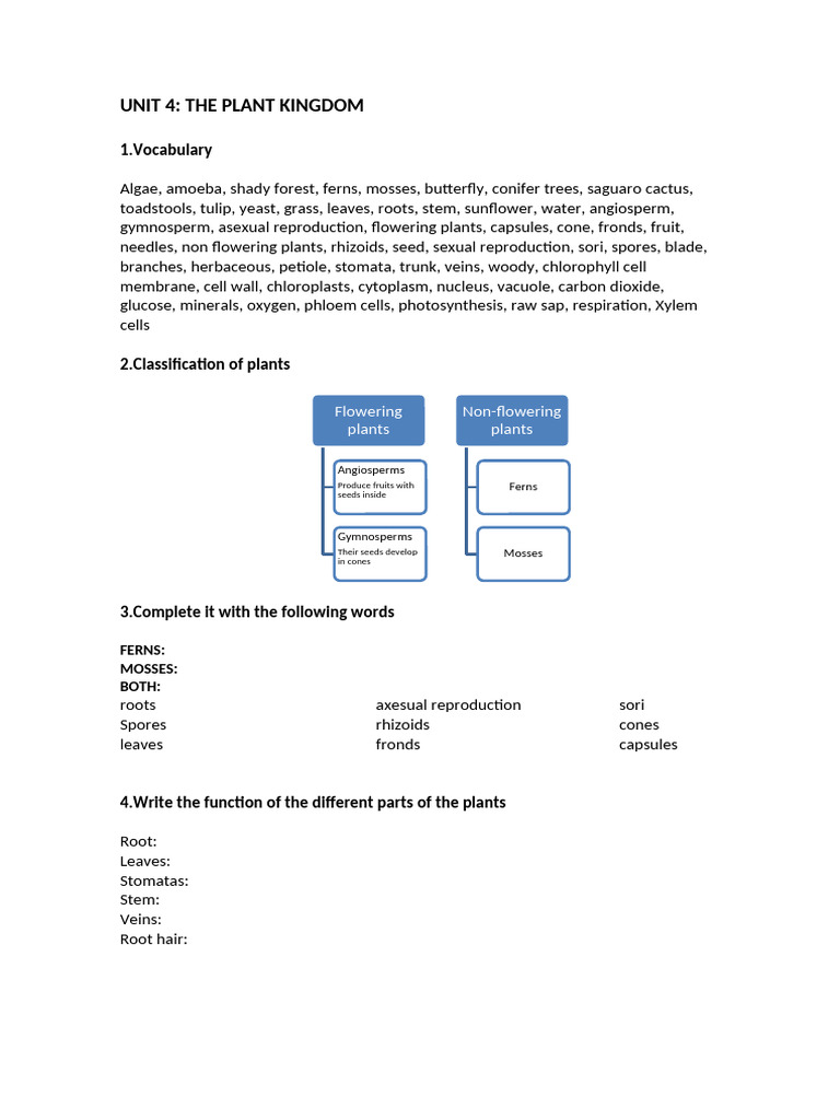 Overview of the Plant Kingdom | PDF