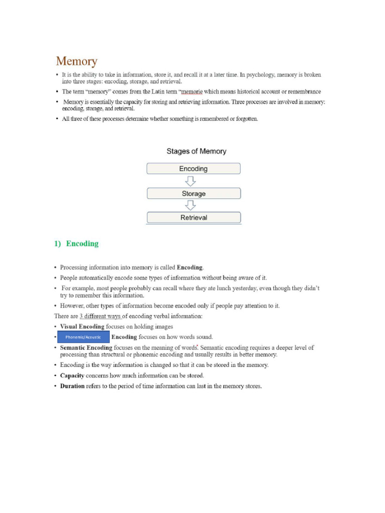 Atkinson and Shiffrin Model - Reading Material | PDF
