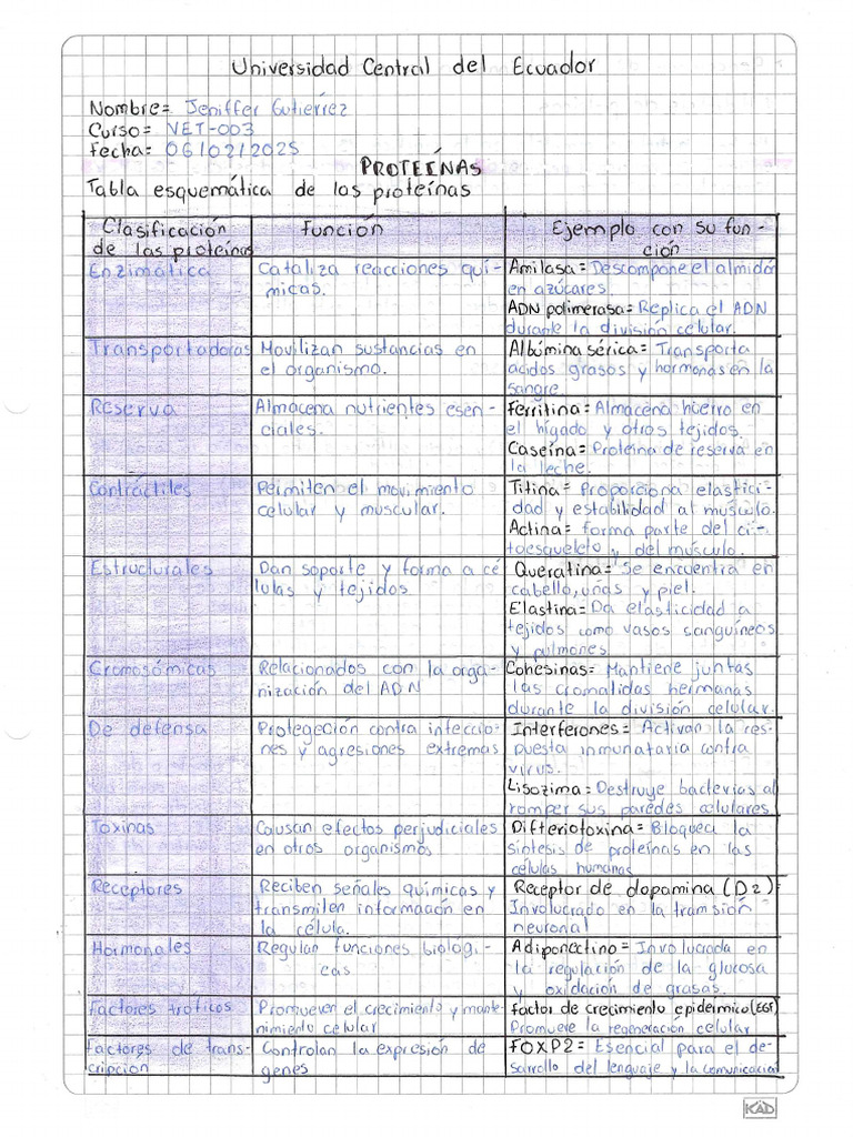 Vet 003, Tabla de Proteínas y Función | PDF