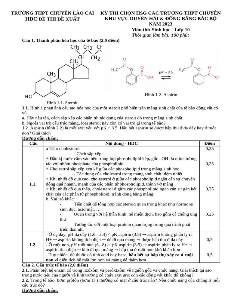 HDC Môn Sinh Khối 10 THPT Chuyên Lào Cai | PDF