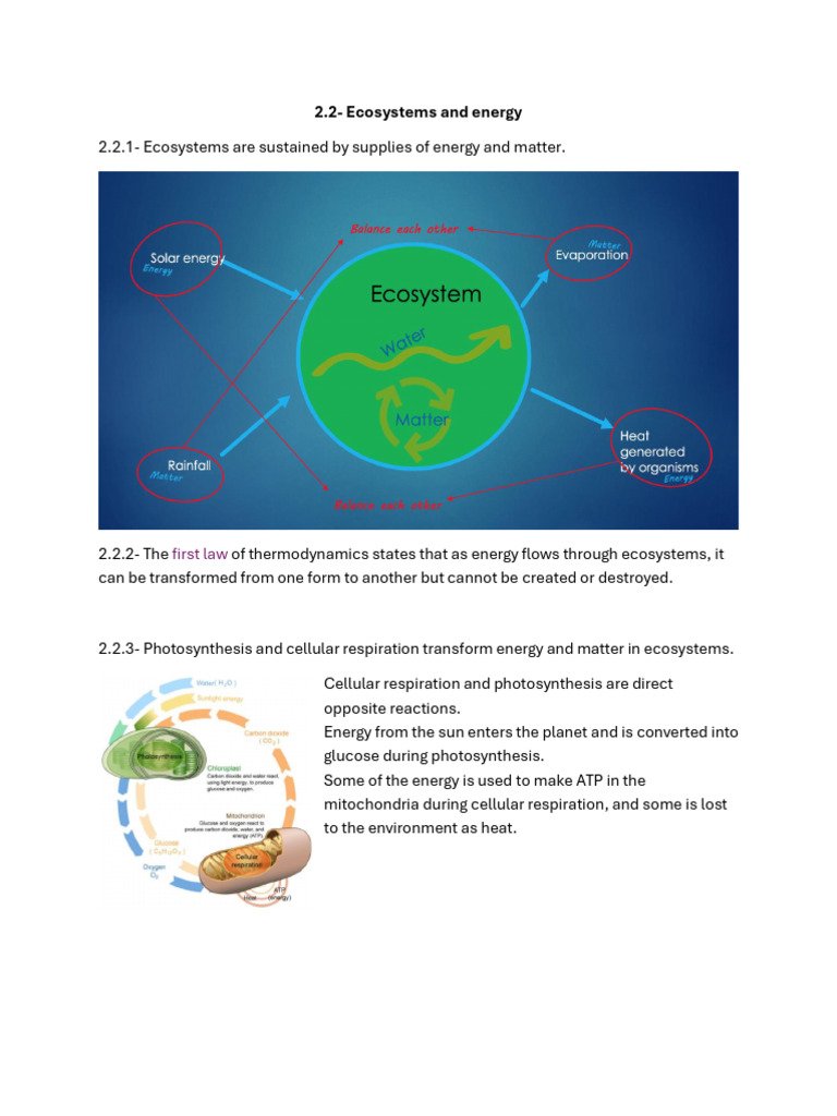 2.2- Ecosystems and energy | PDF | Food Web | Cellular Respiration