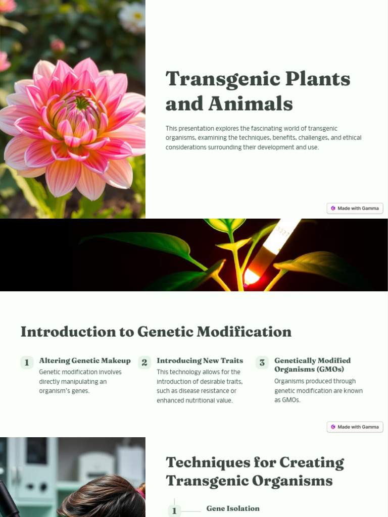 Transgenic Plants and Animals | PDF | Genetically Modified Organism ...