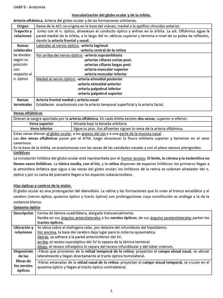 UABP 8 - Pares Craneales II (II, III, IV, VI y VIII) - Oído. Ojo | PDF ...