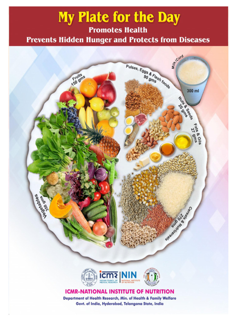 ICMR My Plate For The Day | PDF