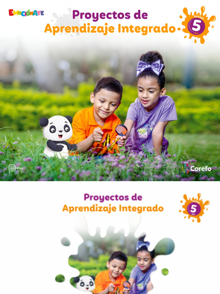 5a Proyectos de Aprendizaje Integrado | PDF