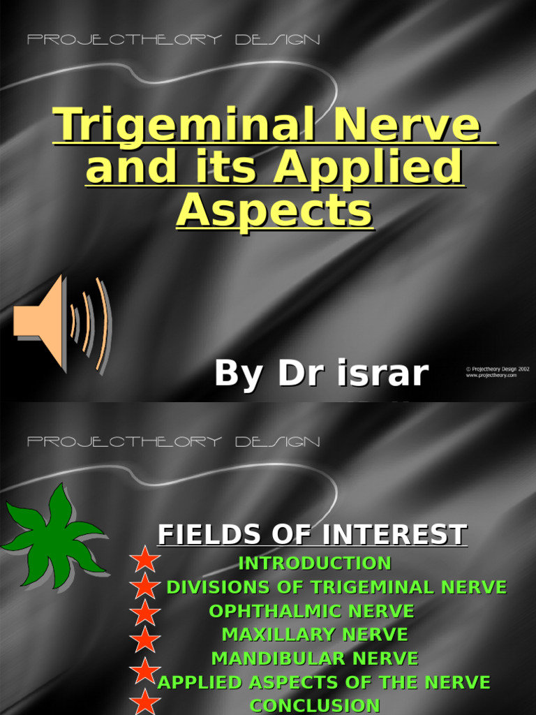 Trigeminal Nerve Anatomy and Function | PDF | Human Nose | Neuroanatomy
