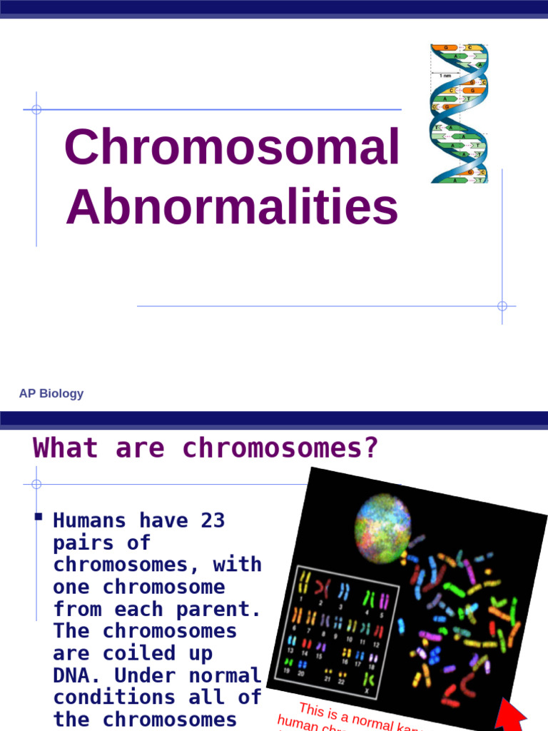 Understanding Chromosomal Abnormalities | PDF | Meiosis | Chromosome