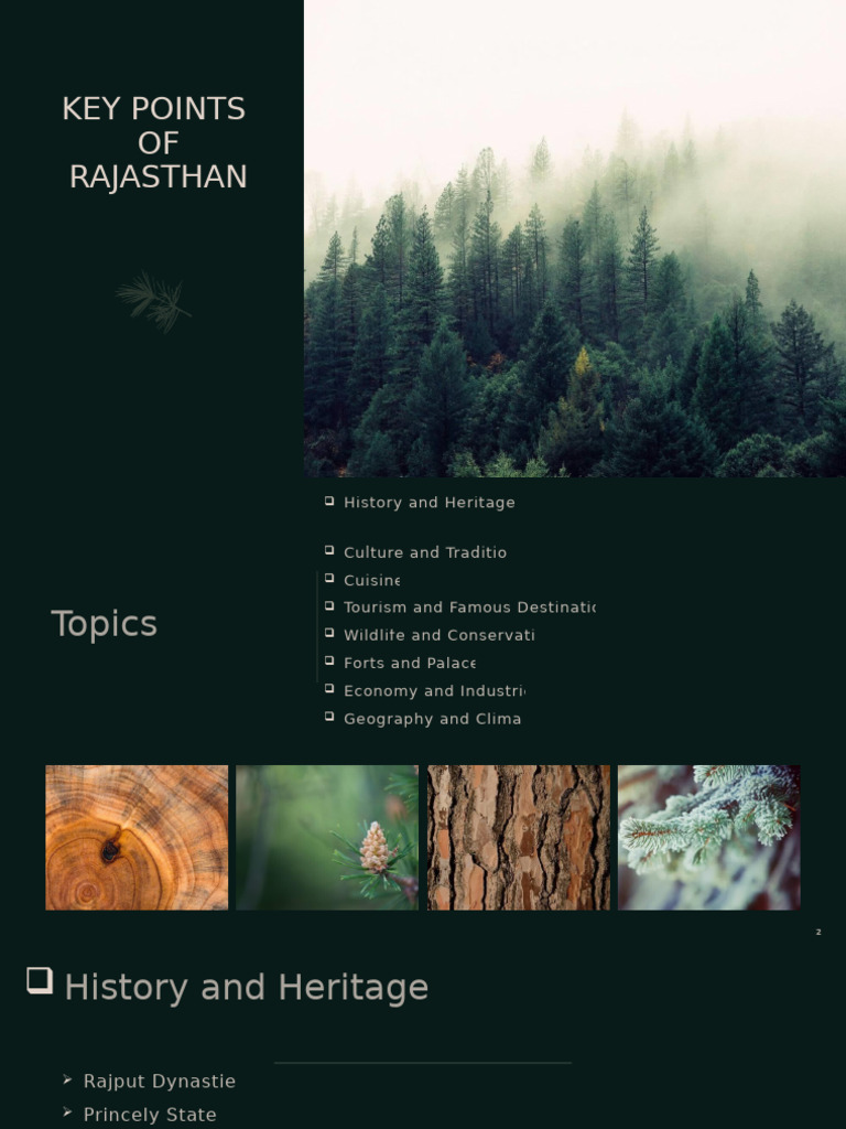 Rajasthan PPT Final | PDF
